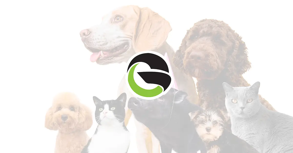 Contact Us for All Your Pet Needs - Gems Pets